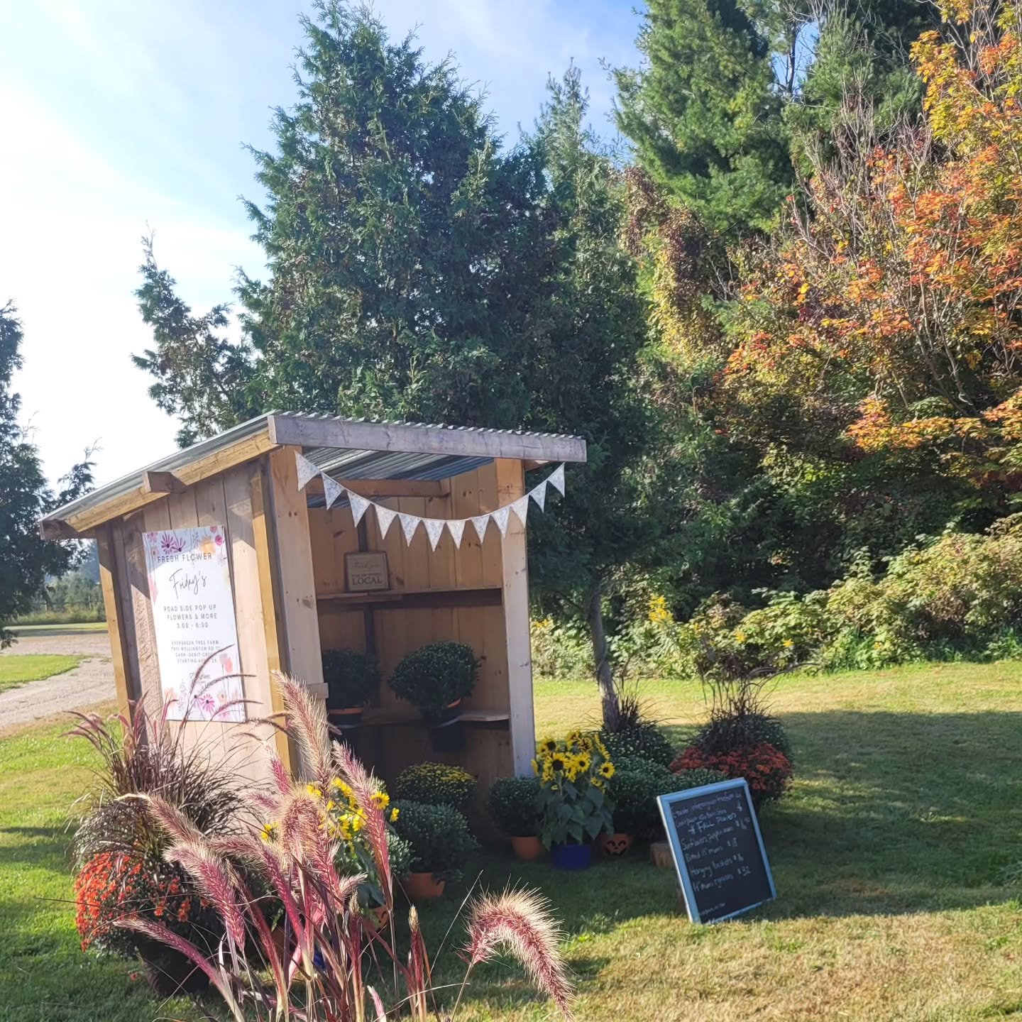 Discover the Best Farms in Ontario - FarmCiti
