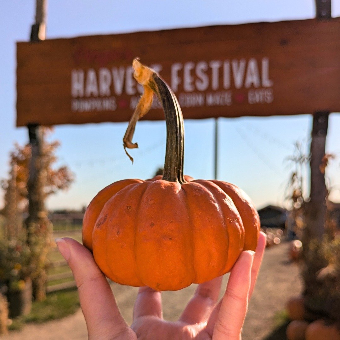 Discover the Best Farms in Ontario - FarmCiti