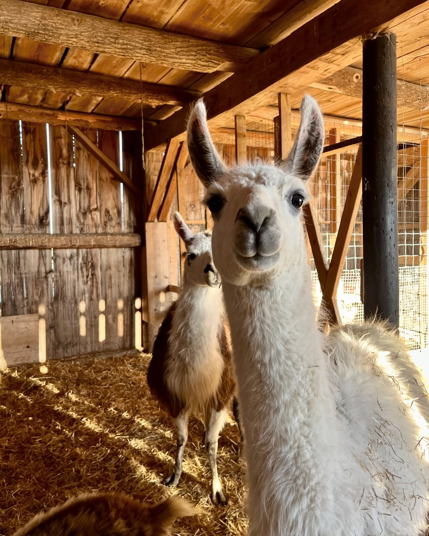 Discover the Best Farms in Ontario - FarmCiti